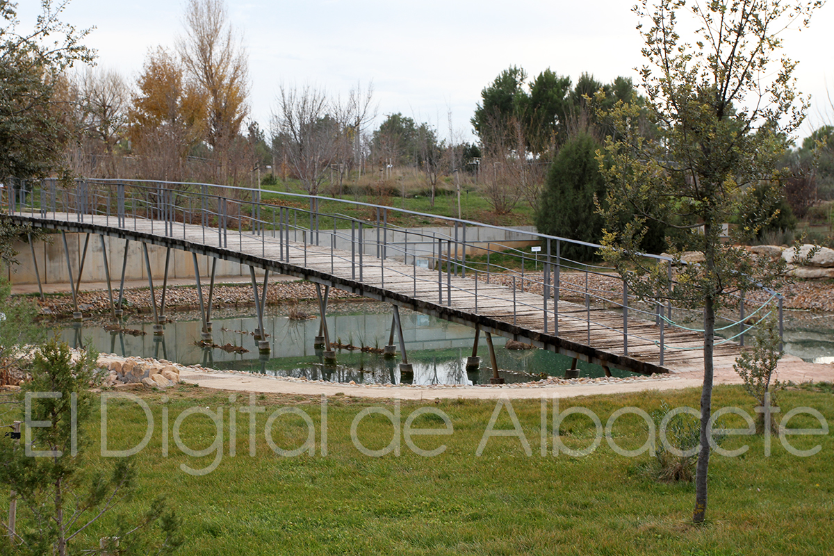El Jardín Botánico de Castilla-La Mancha retoma las visitas guiadas gratuitas de los fines de ...