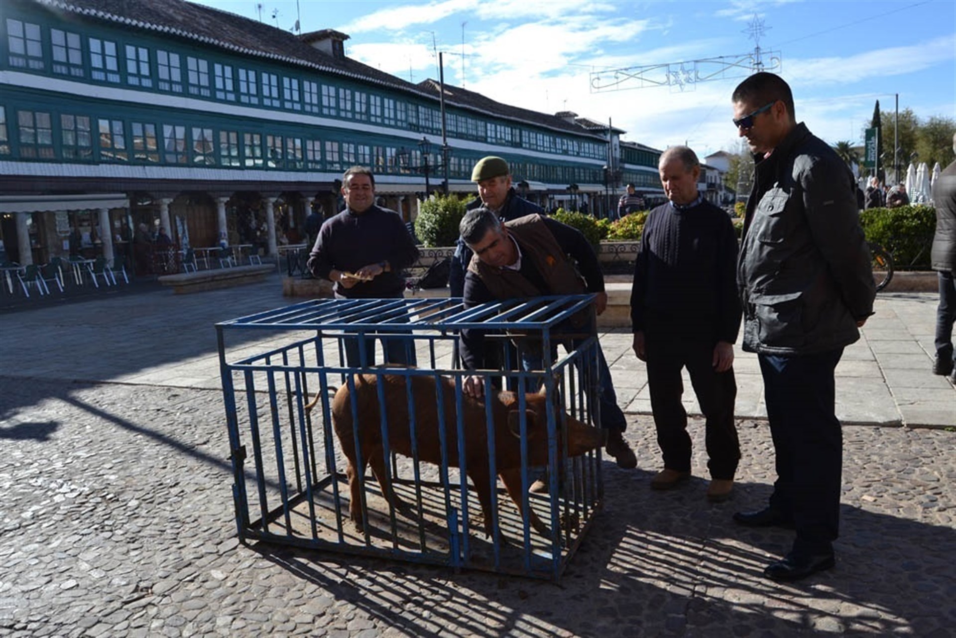 La 'guarrilla' a sortear el día de San Antón en Almagro es bautizada ...