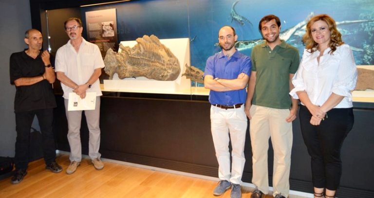 El Museo Paleontológico de Castilla-La Mancha acoge a Paludidraco, un ...