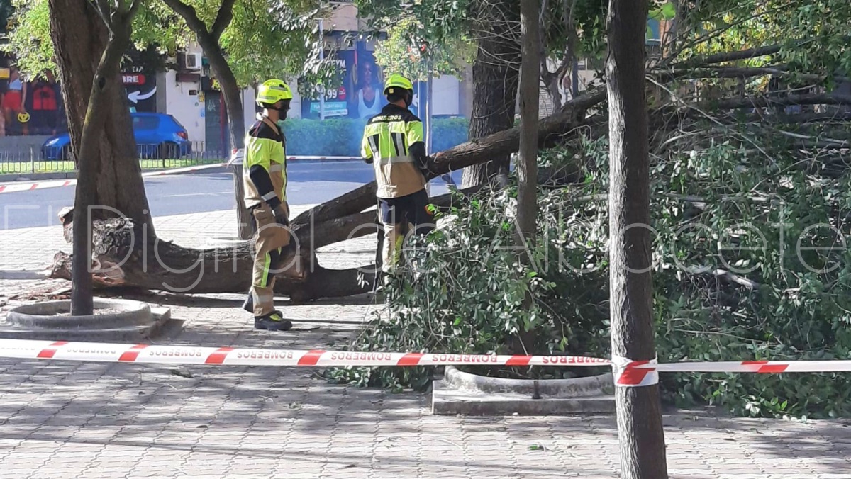 Tras mascarse la tragedia, el Ayuntamiento de Albacete reacciona de inmediato y reforzará la ...