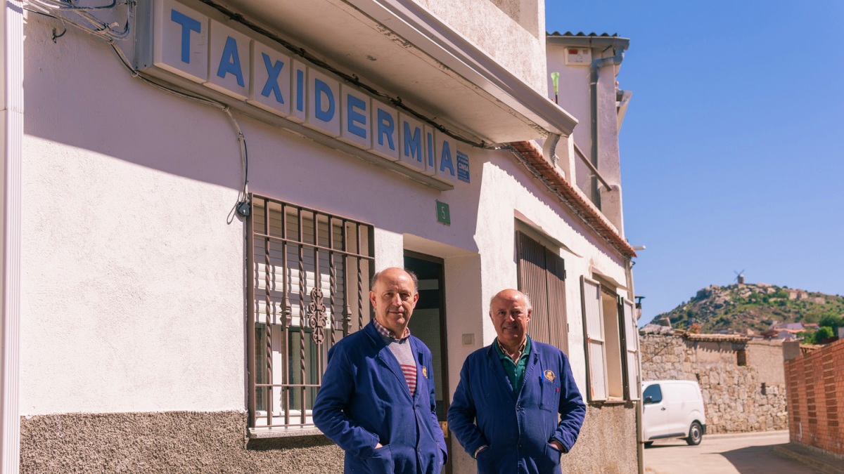La familia que lleva 70 años disecando animales en Castilla-La Mancha ...